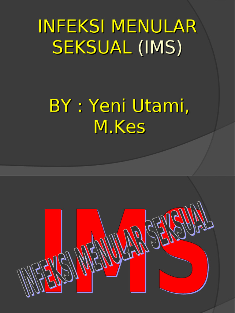 IMS | PDF