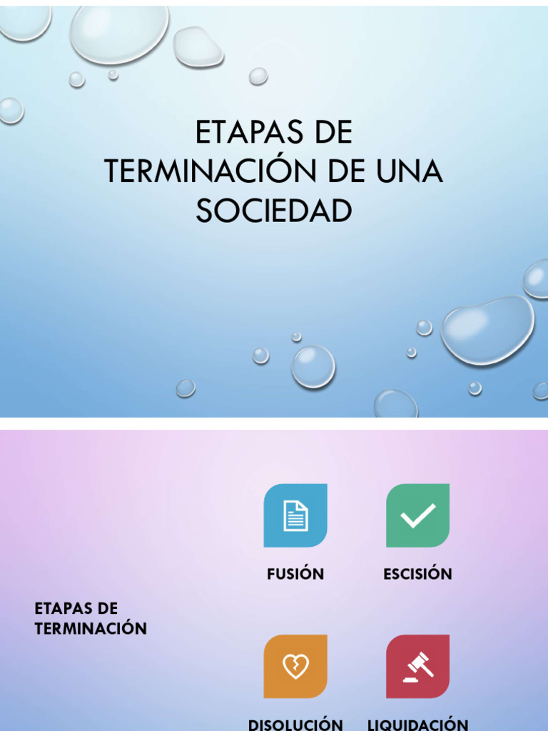 Etapas de Terminación de Una Sociedad | PDF | Bancarrota | Negocios