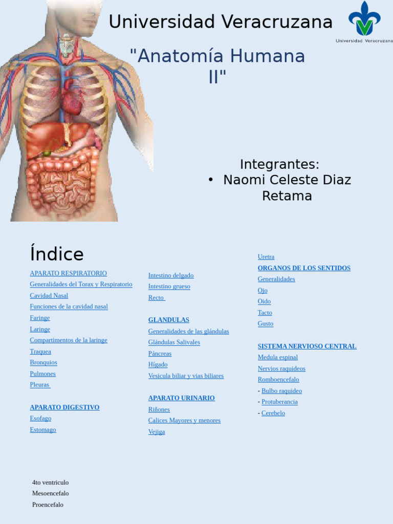 Proyecto Anatomia Humana II | PDF