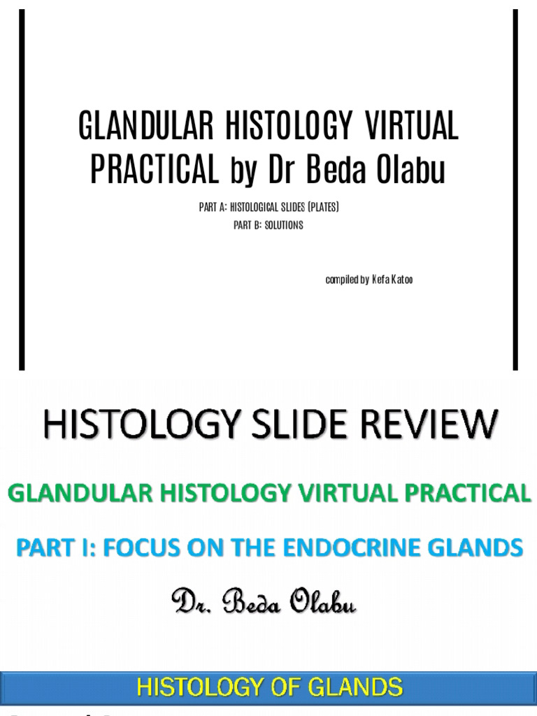 Glandular Histology Virtual Practical | PDF | Estudos de Línguas Estrangeiras | Bem-estar
