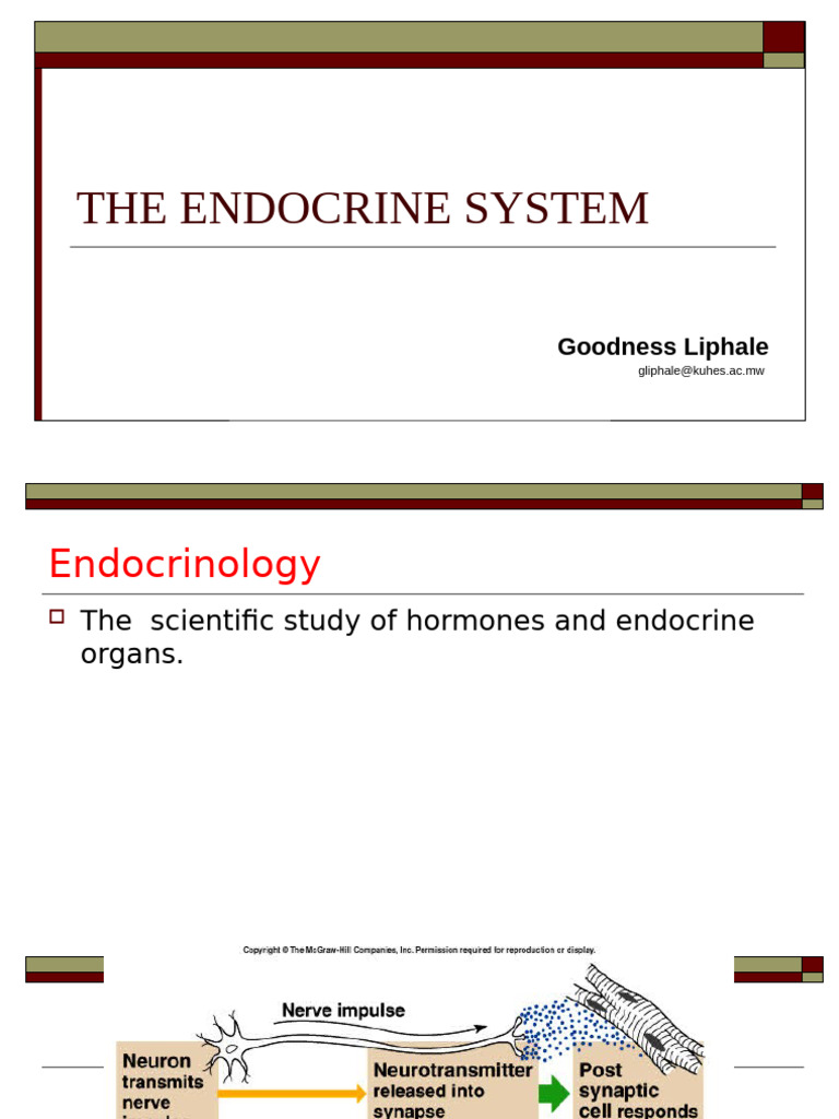Endocrine 2023 | PDF | Endocrine System | Hormone