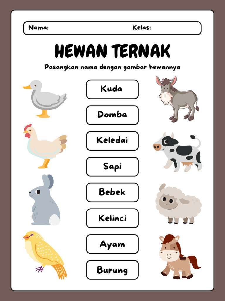 Mengenal Hewan Ternak dan Gambarnya | PDF