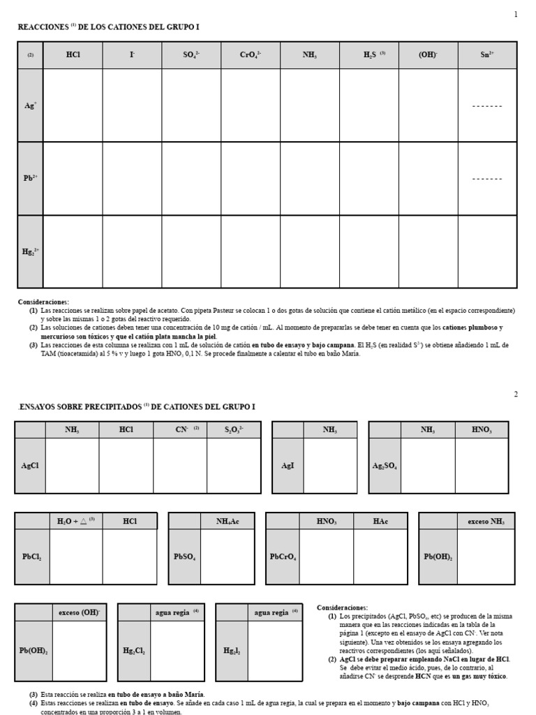 TP7 Cationes 2024 | PDF