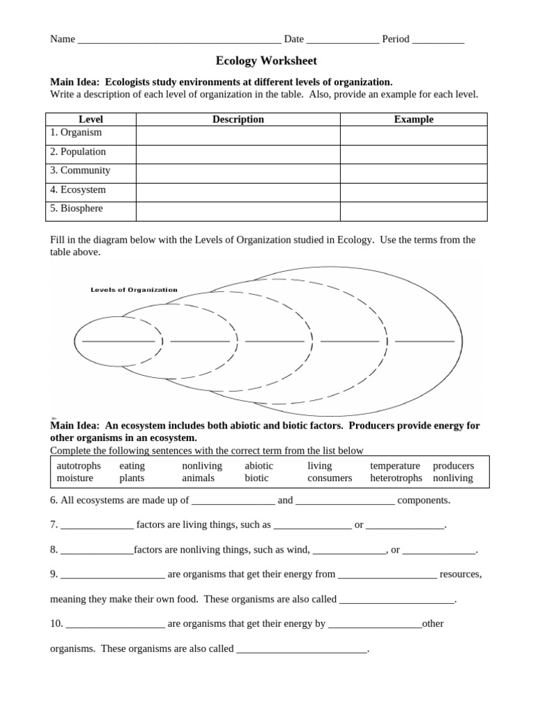 Ecology Into Worksheet | PDF | Food Web | Ecosystem