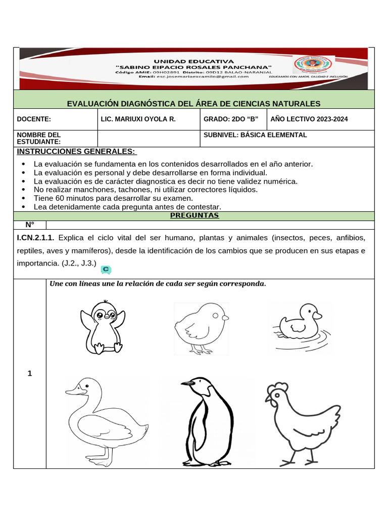 2do- Ccnn - Evaluacion - Diagnóstica | PDF