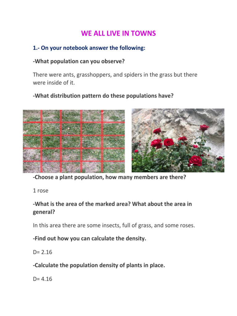 Activity 9 | PDF