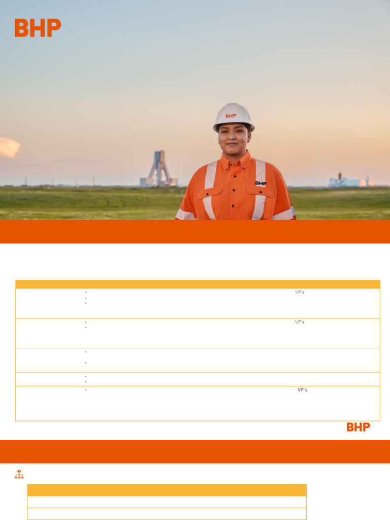 Reportabilidad-HSS---Field-Leadership-Program | PDF