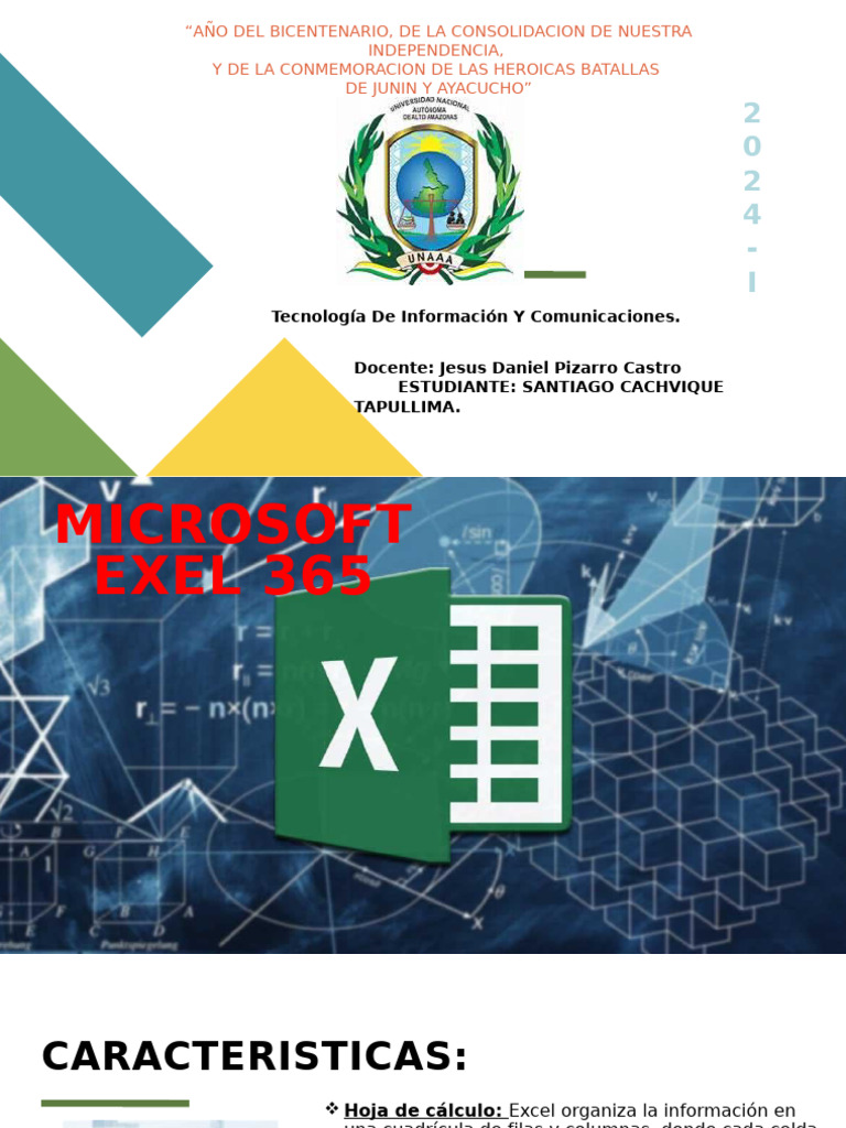 Microsoft Excel | PDF