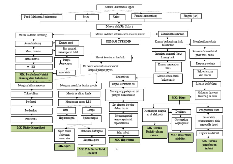 Woc Demam Typhoid - Compress | PDF