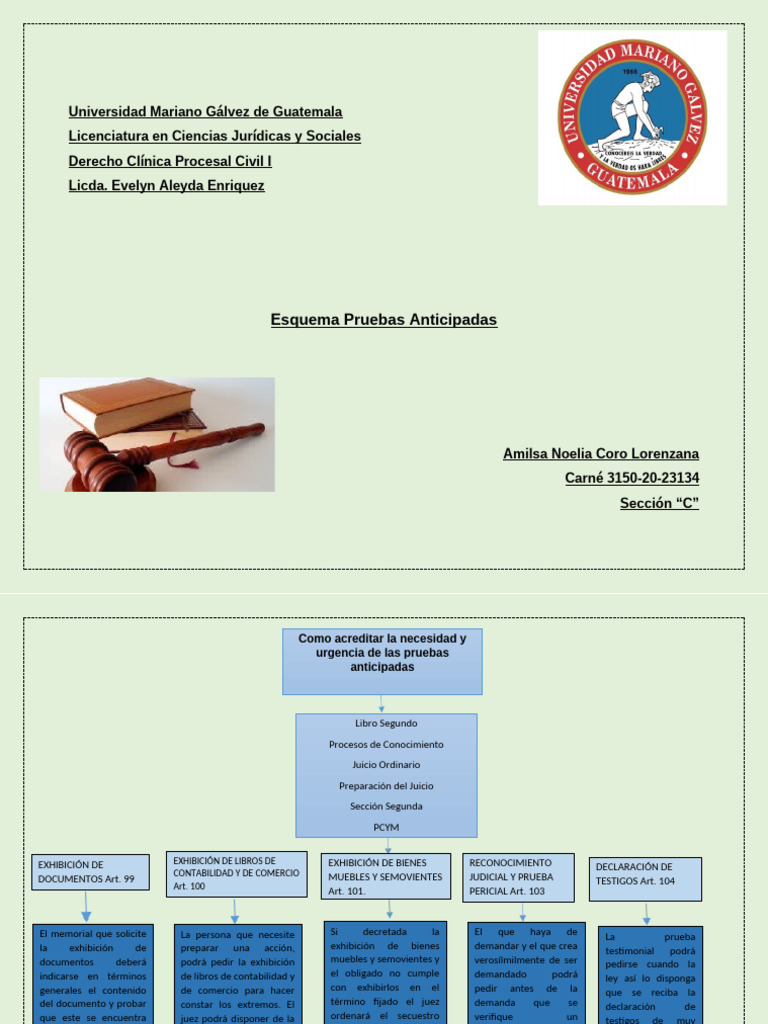 Esquema Clínica Civil | PDF