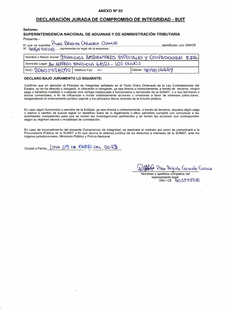 Anexo DECLARACION JURADA #02 | PDF