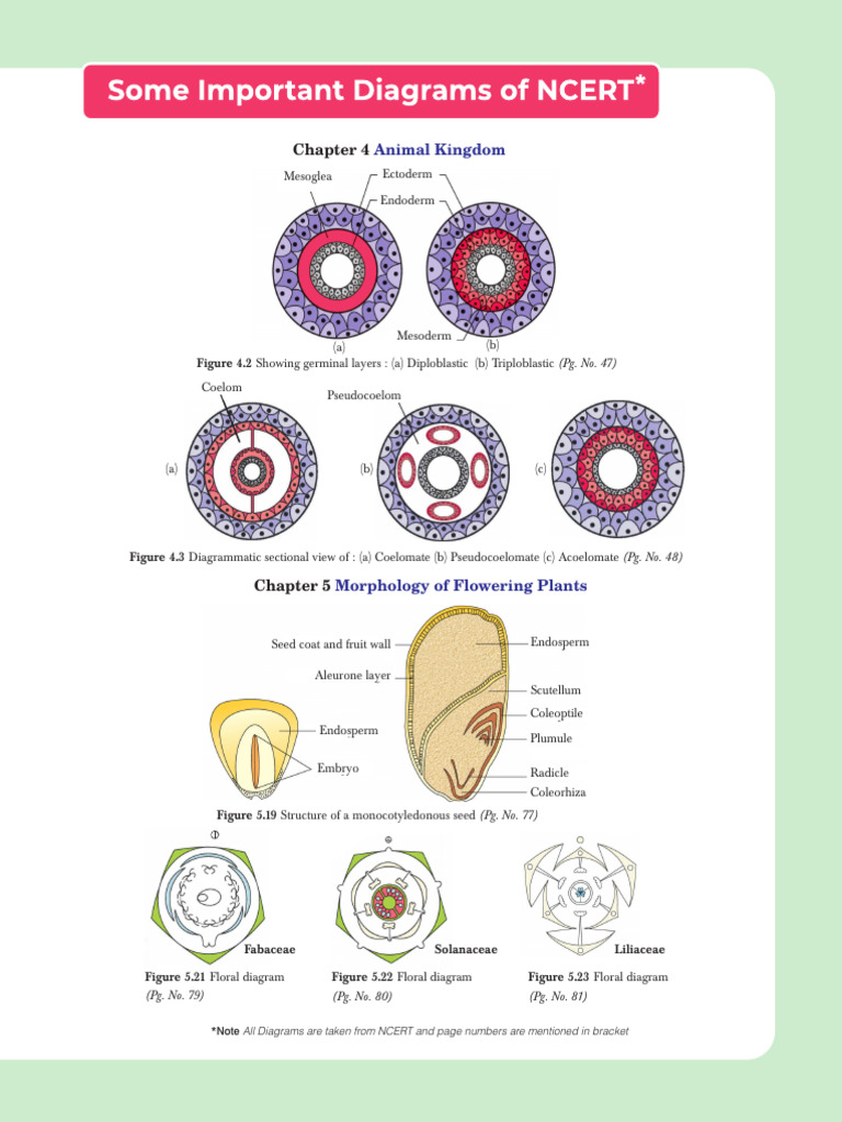 Some Important Diagrams of Ncert | PDF