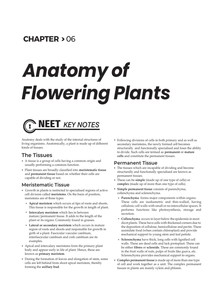 Anatomy of Flowering Plants | PDF