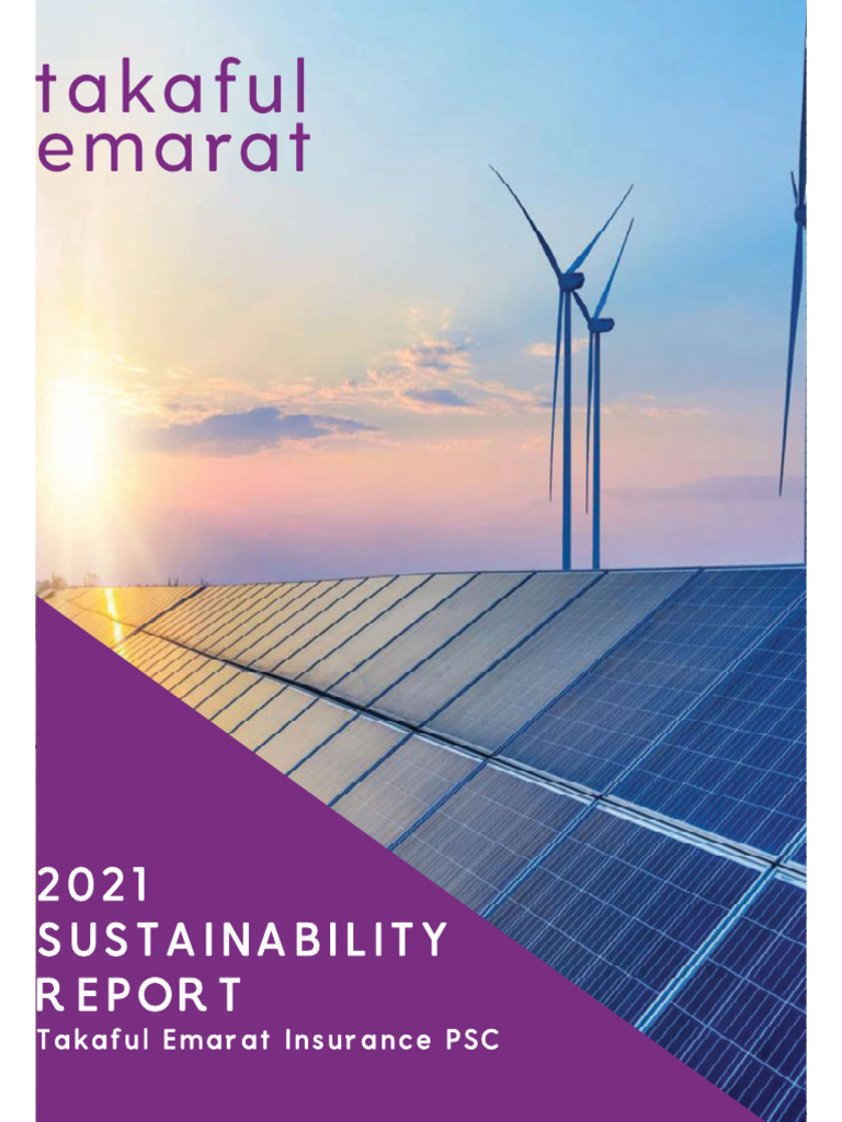 Sustanability Report 2021 Engish Arabic | PDF