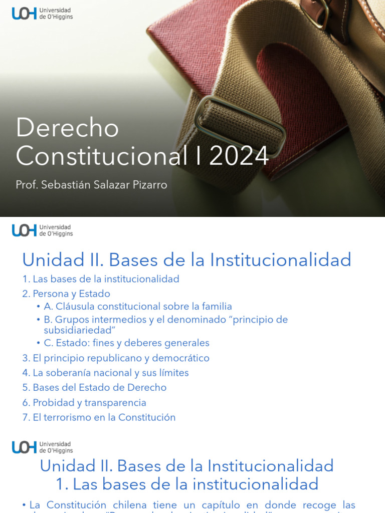 Bases de La Institucionalidad | PDF