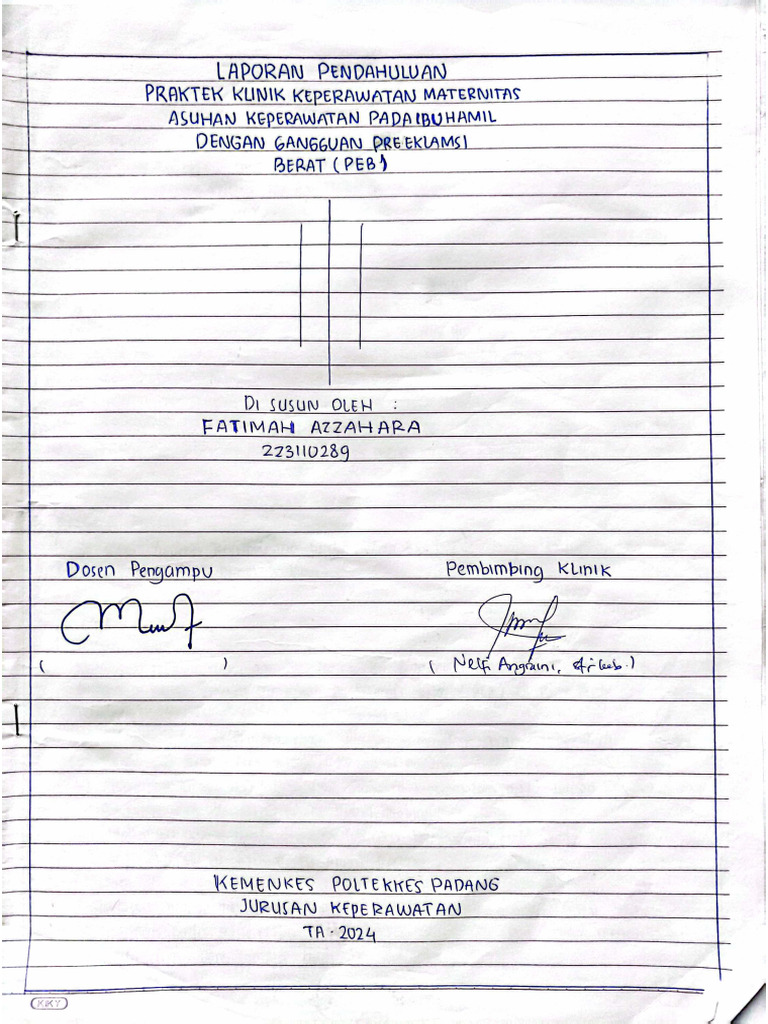 LP Peb Maternitass | PDF