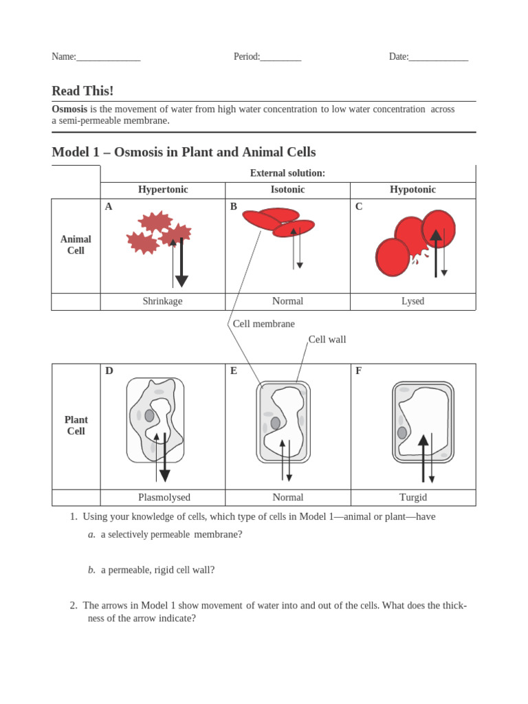 Osmosis Worksheet | PDF