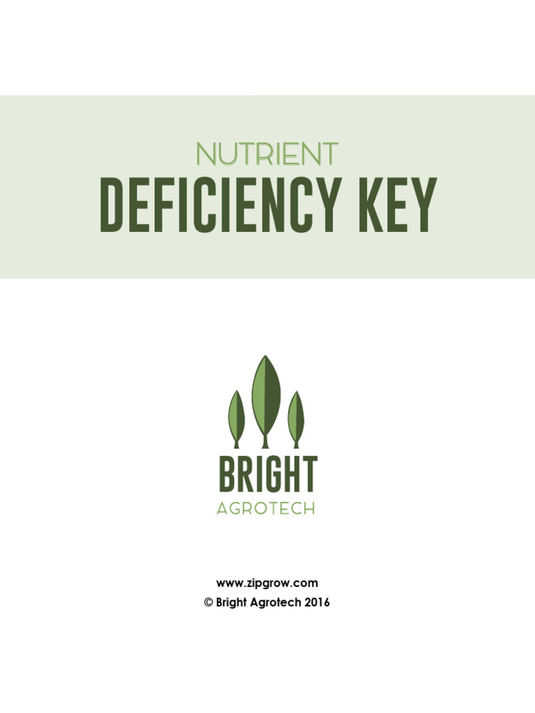 nutrient_deficiency_key_-_bright_agrotech_1 | PDF
