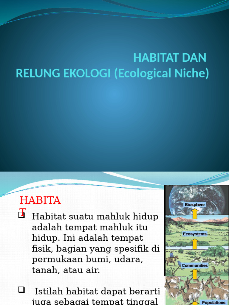 Ekologi 5 - 2 HABITAT DAN RELUNG EKOLOGI | PDF