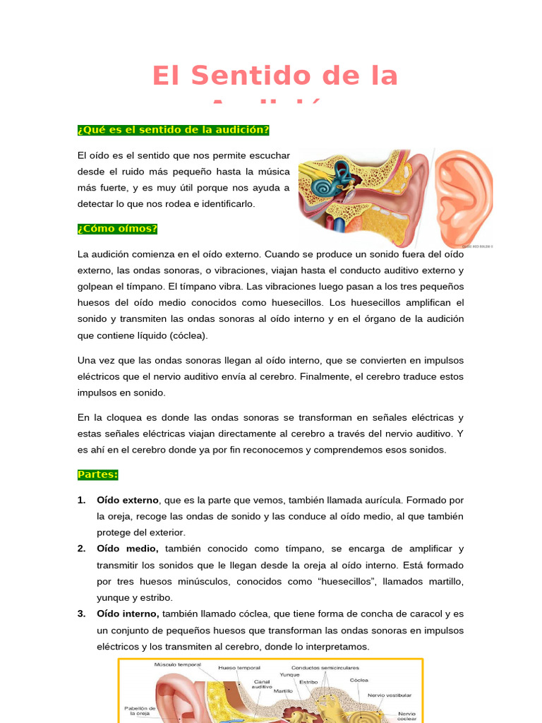 El Sentido de La Audición | PDF | Oído | Bienestar