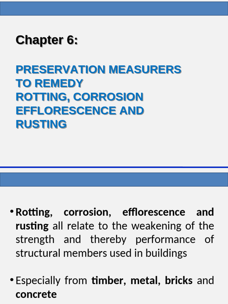 Preservation and Remedy Measures | PDF