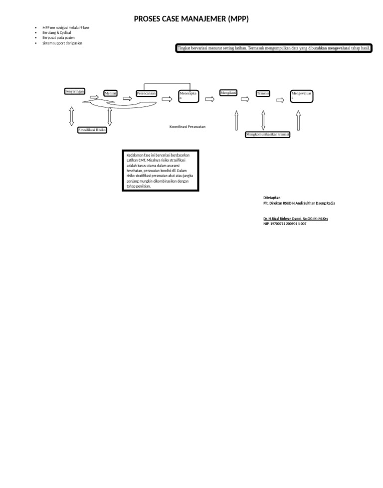 Alur Proses Case Manajemer (MPP) | PDF