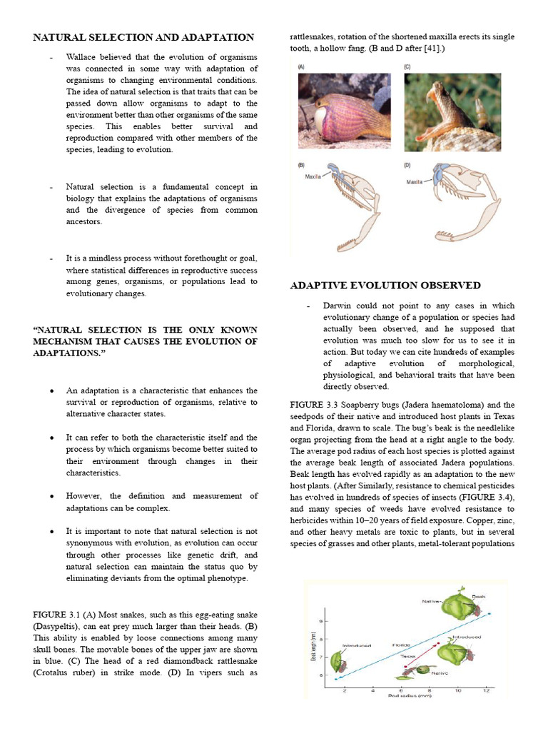 EvoBio CHP 1-3 Reviewer | PDF