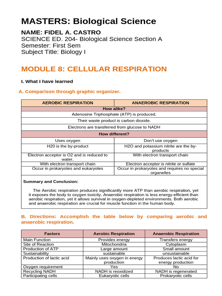 Module 8 | PDF