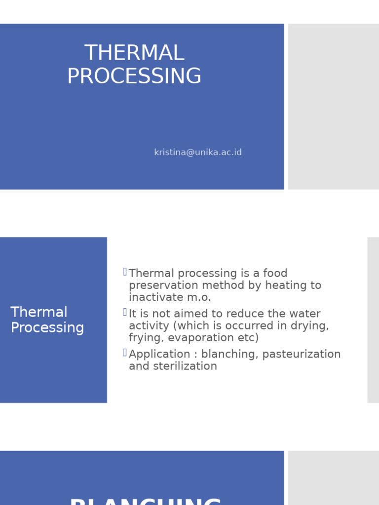 2024 Thermal Processing | PDF