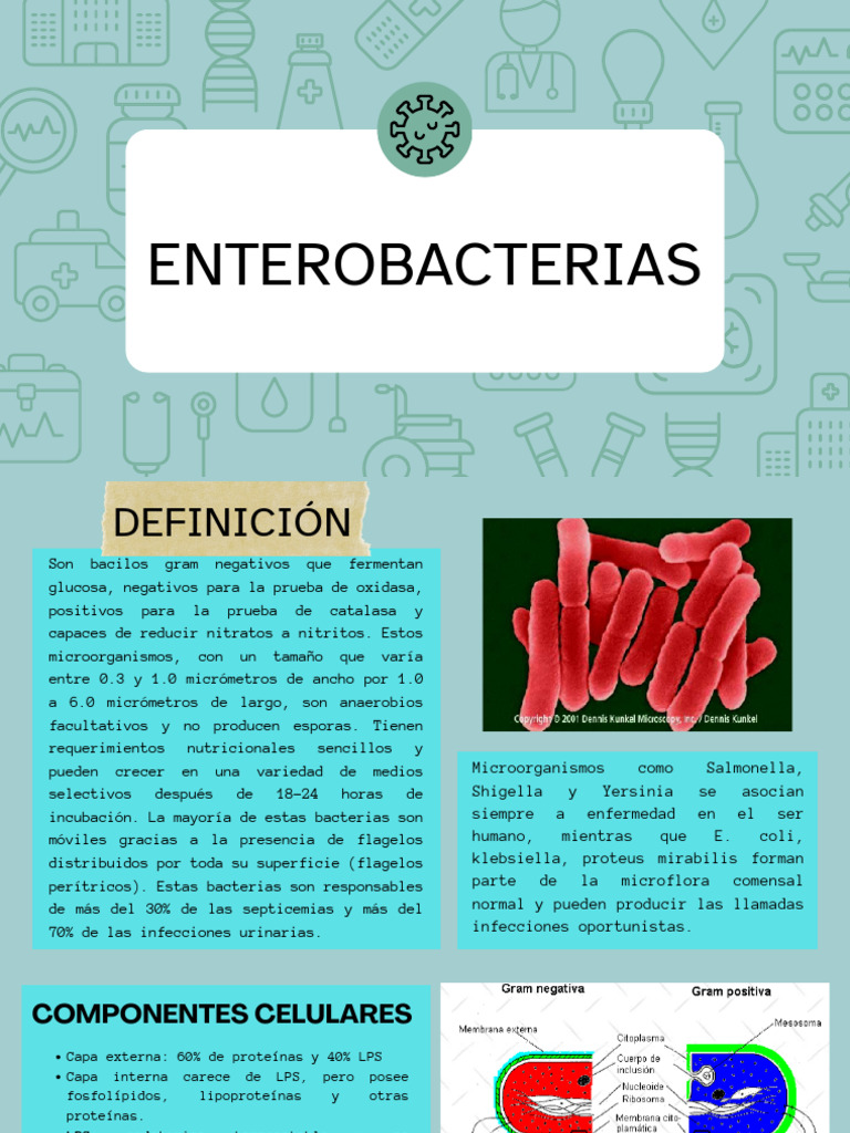 Enterobacterias PDF | PDF