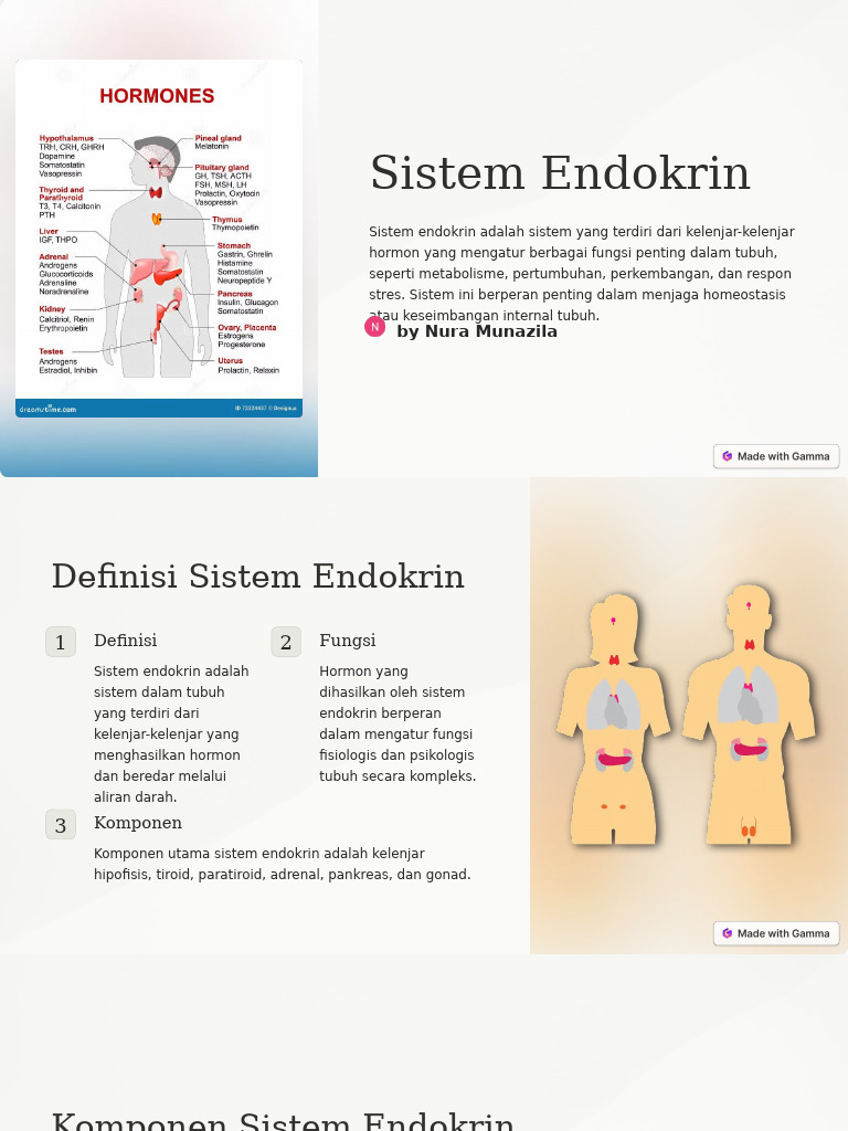 Sistem Endokrin | PDF