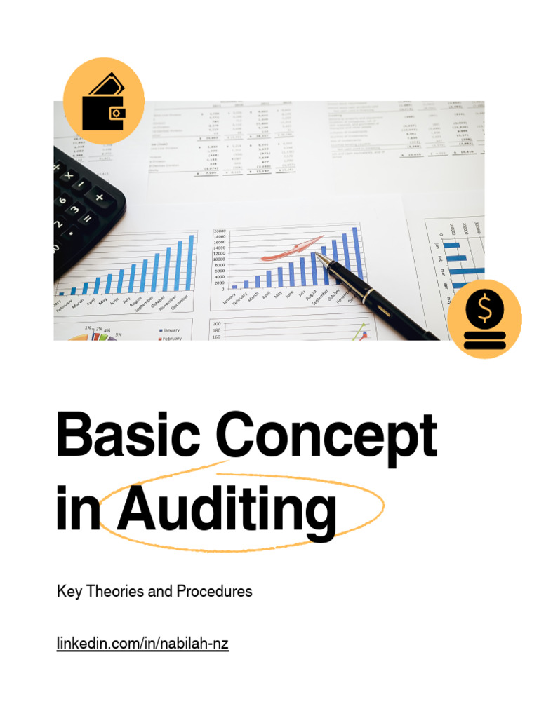 Basic Concepts in Auditing | PDF