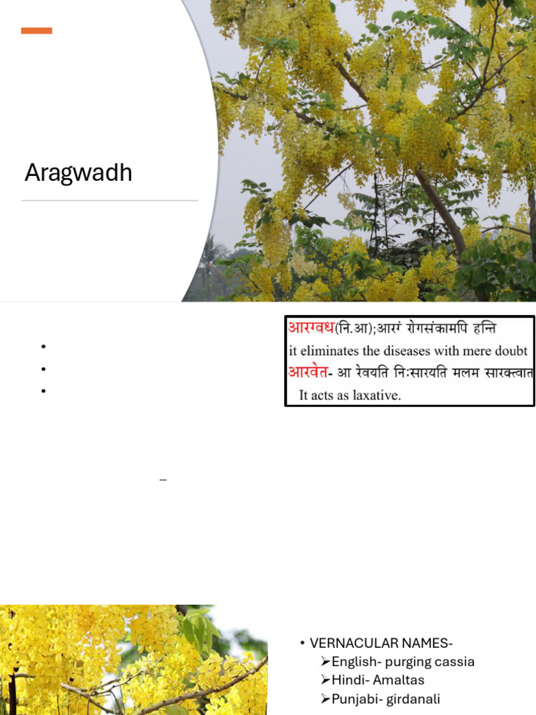 Aragwadh Plant ppt | PDF