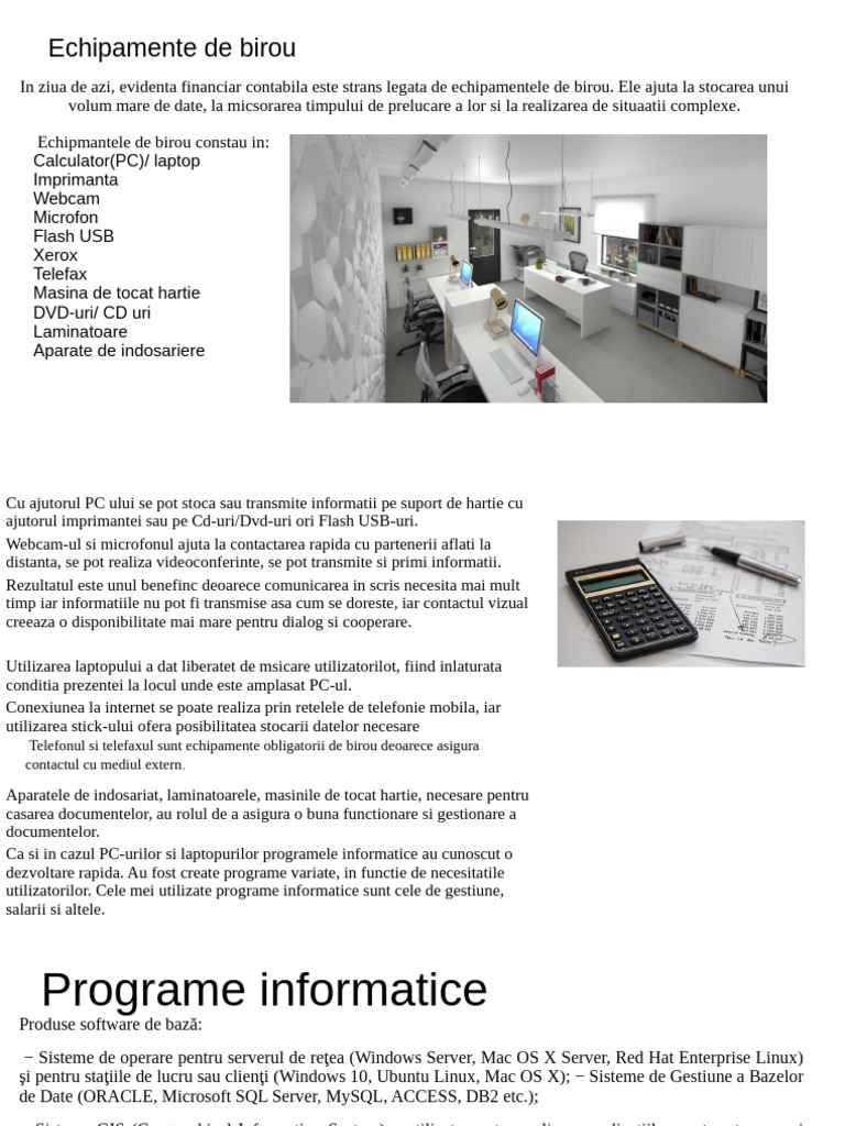 Proiect Contabilitate Sirbu-Chiriac | PDF