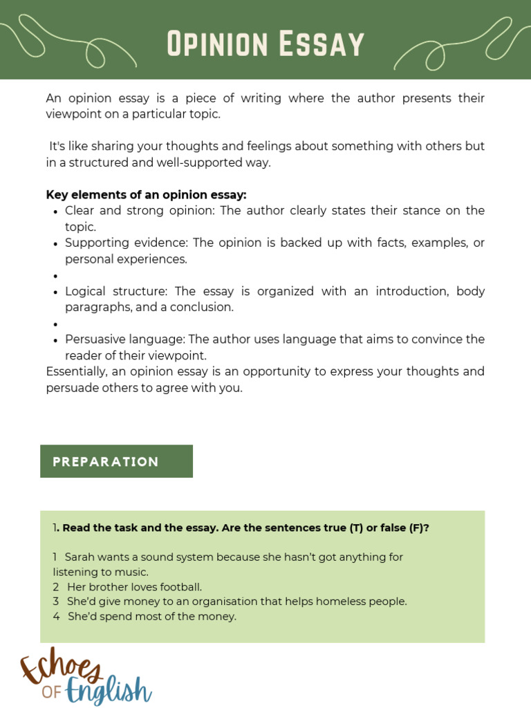 Writing an Opinion Essay Worksheet | PDF
