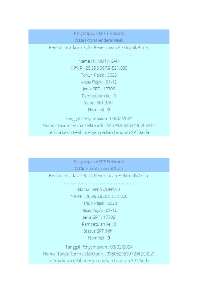 Bpe Efin Pajak 2023 | PDF
