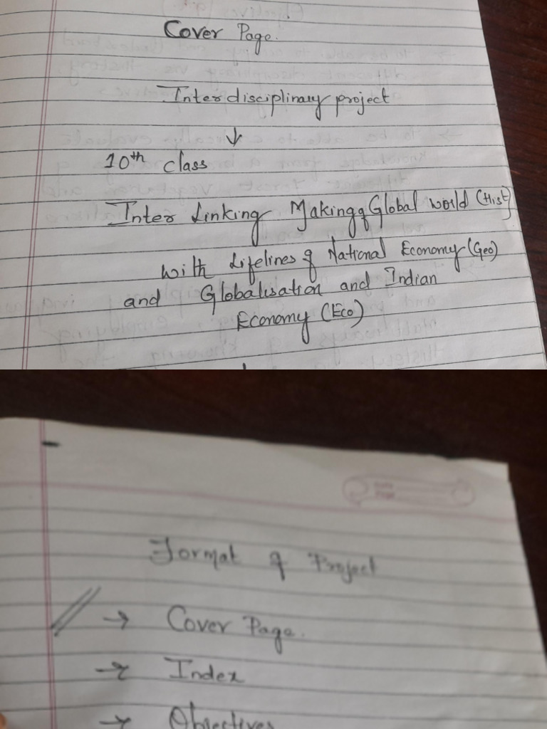 Interdisciplinary Project | PDF