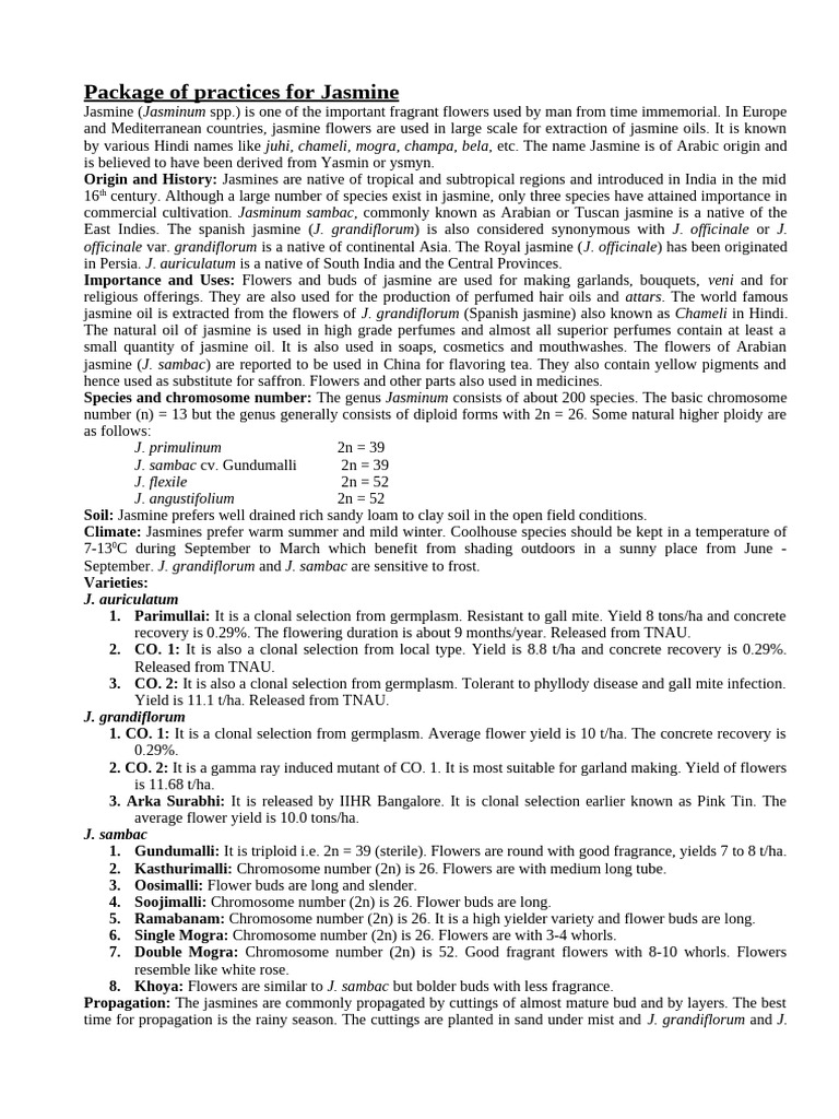 Jasmine-Notes For APH 319 | PDF