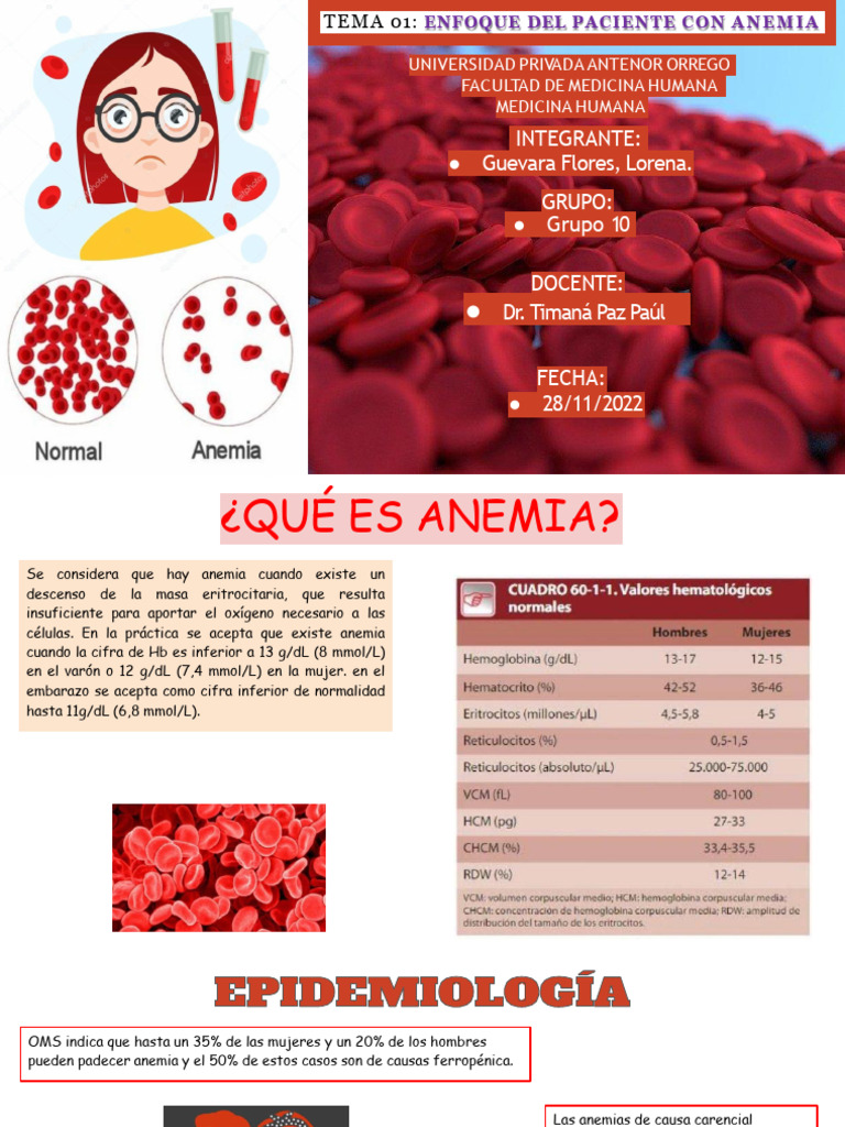 Expo de Enfoque Del Paciente Con Anemia - Tema 01 | PDF