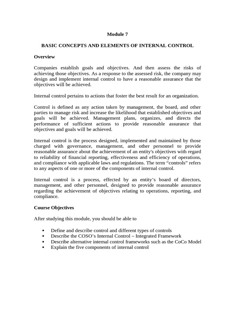 Module 7 Internal Control | PDF