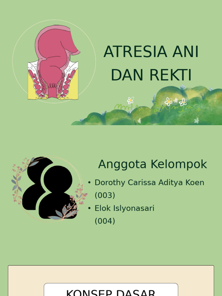 Atresia Ani Atresia Rekti Pdf