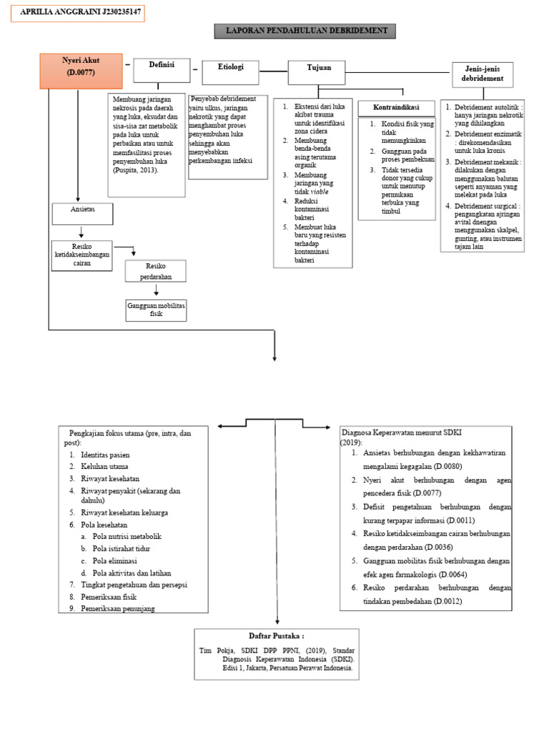 Mind Map Debridement | PDF