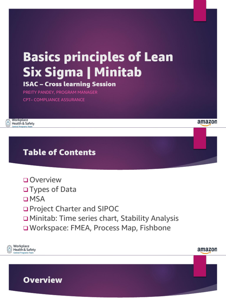 Basic Principles of Lean Six Sigma & Minitab Session 08222023-1 | PDF