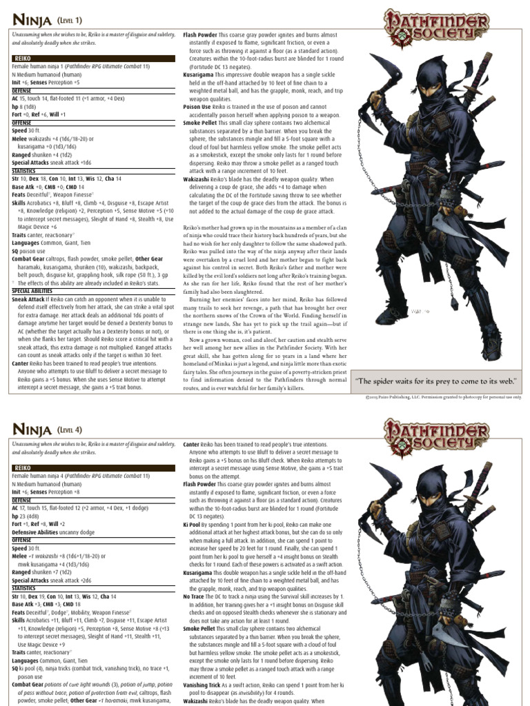 Ninja - All Levels | PDF