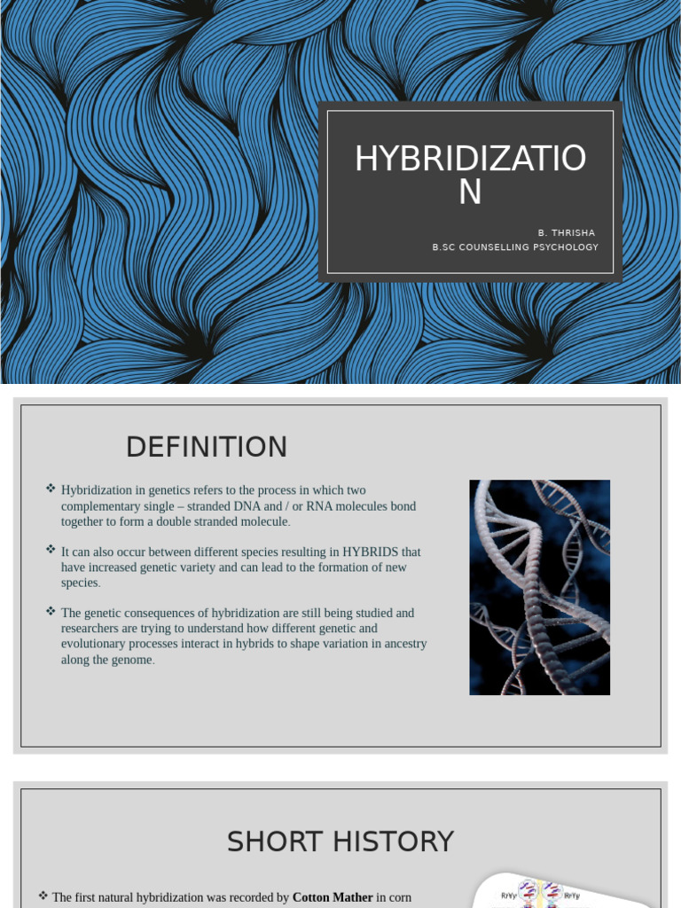 Hybridization | PDF