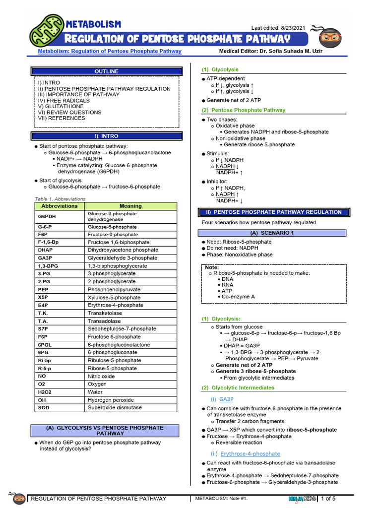 Regulation of Pentose Phosphate Pathway (2) Atf | PDF