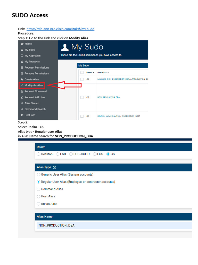 Sudo Access Pdf 