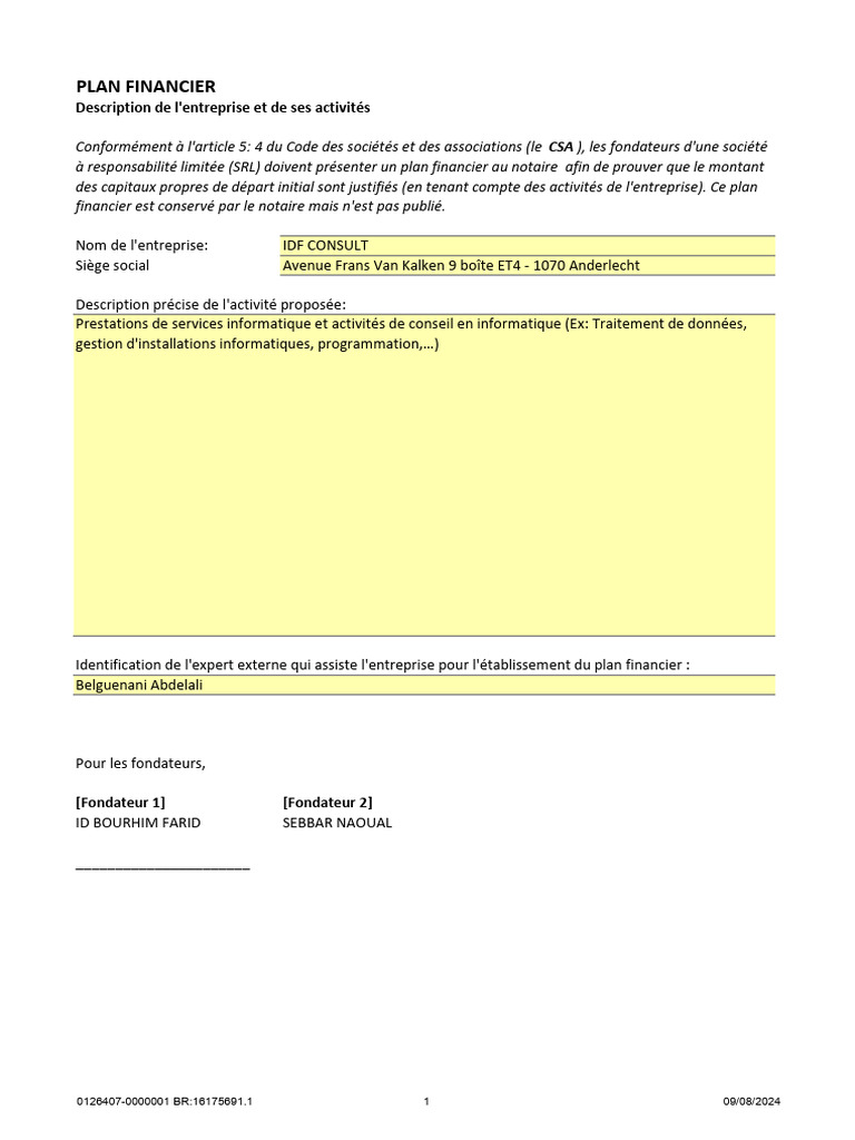 Business Plan - IDF CONSULT | PDF