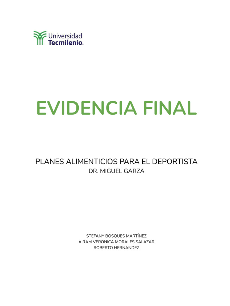 Evidencia Final Planes | PDF