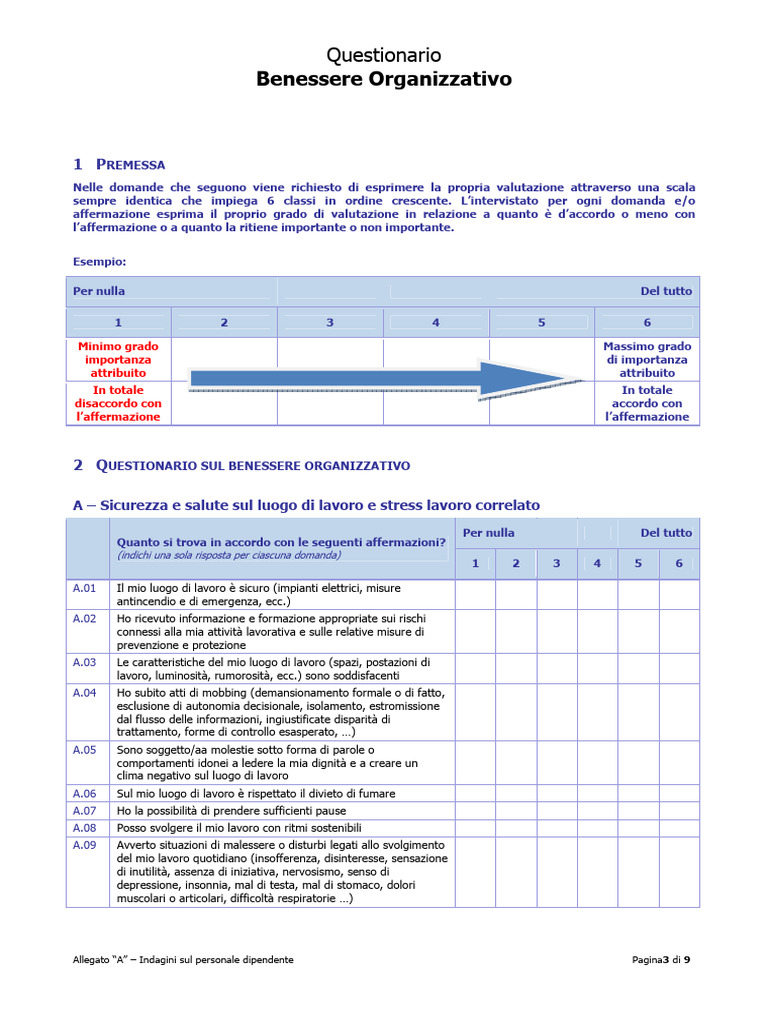 Esempio Questionario | PDF